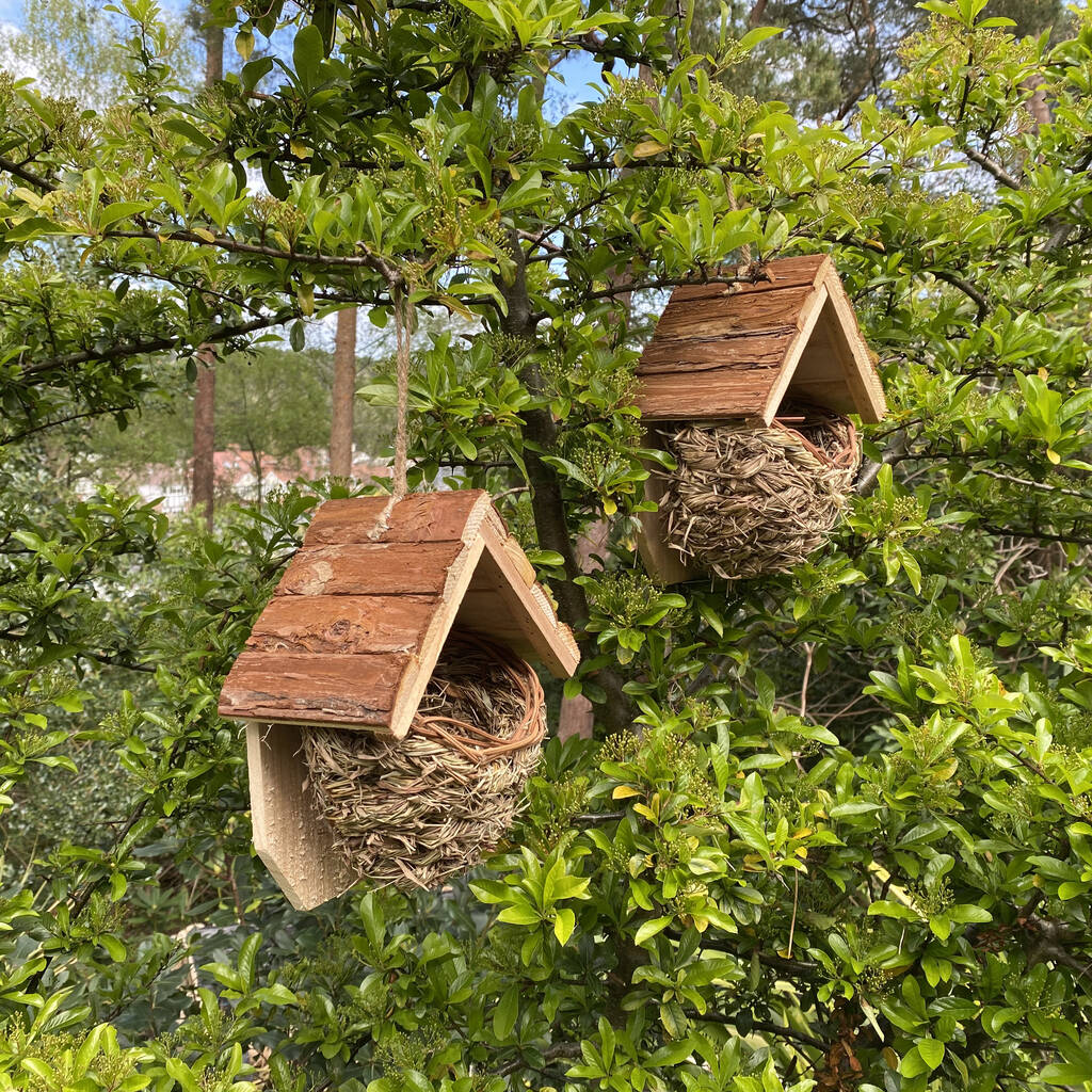 Duo Of Woven House Martin Bird Boxes By Garden Selections ...