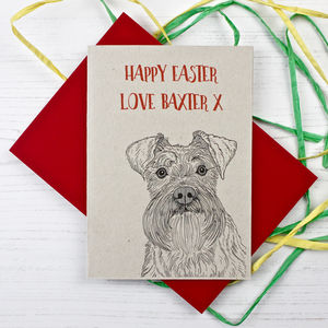Easter Cards & Wrap | notonthehighstreet.com