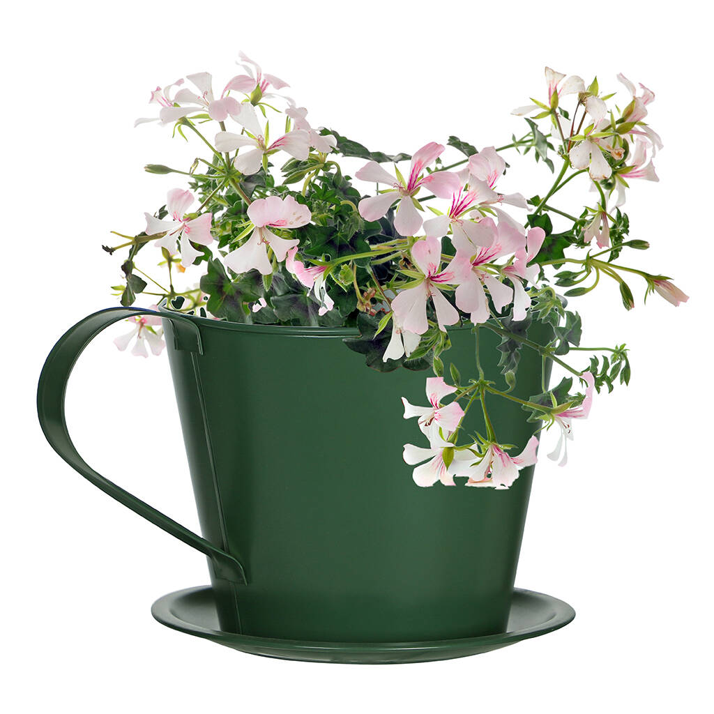 Personalised Green Tea Cup Planter By Dibor | notonthehighstreet.com