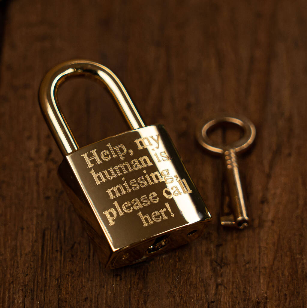 Square Padlock Dog Tag By Broughton & Co | notonthehighstreet.com