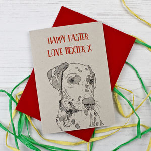 Easter Cards & Wrap | notonthehighstreet.com