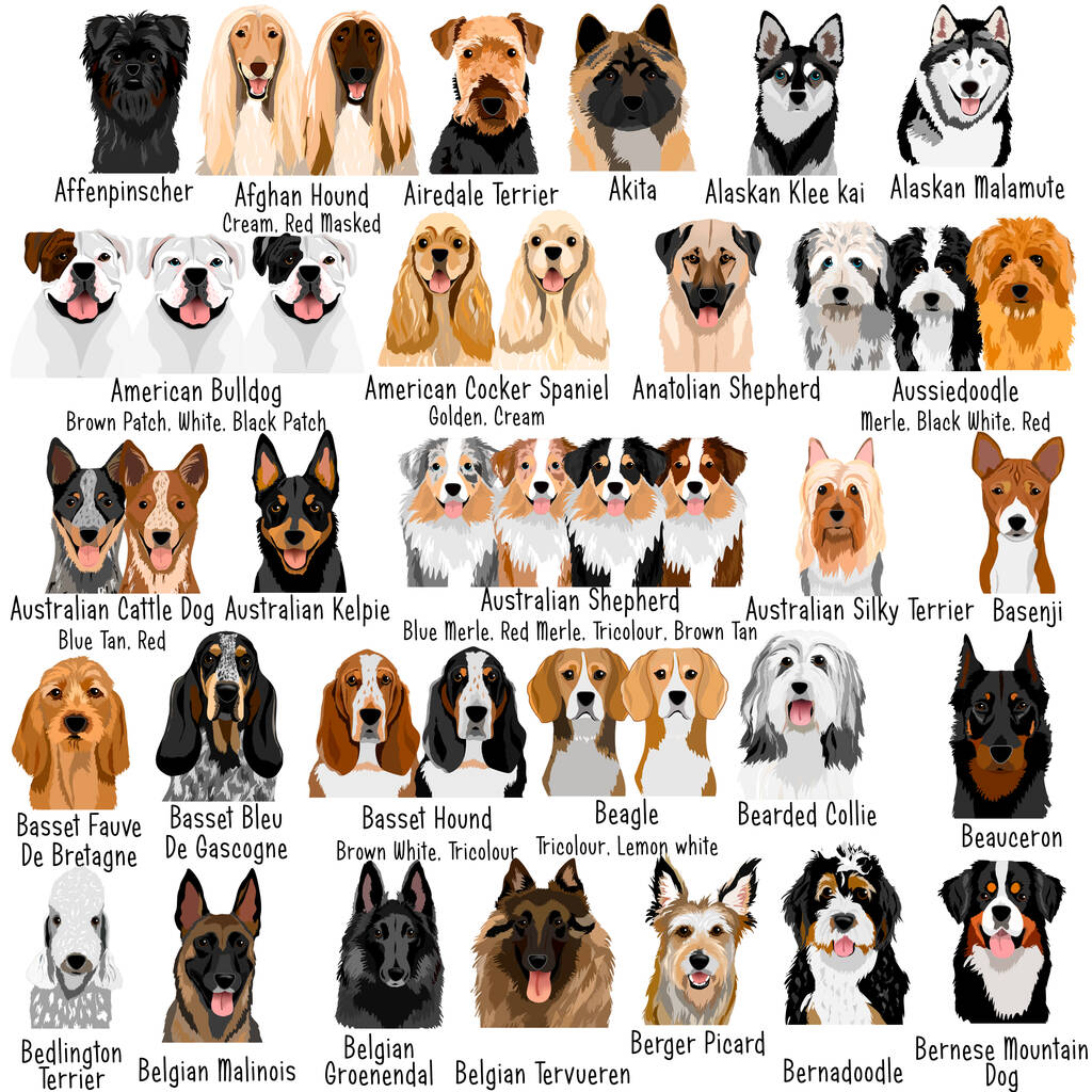 Dog Breed ID Tag Personalised Realistic Illustrations By Hoobynoo ...
