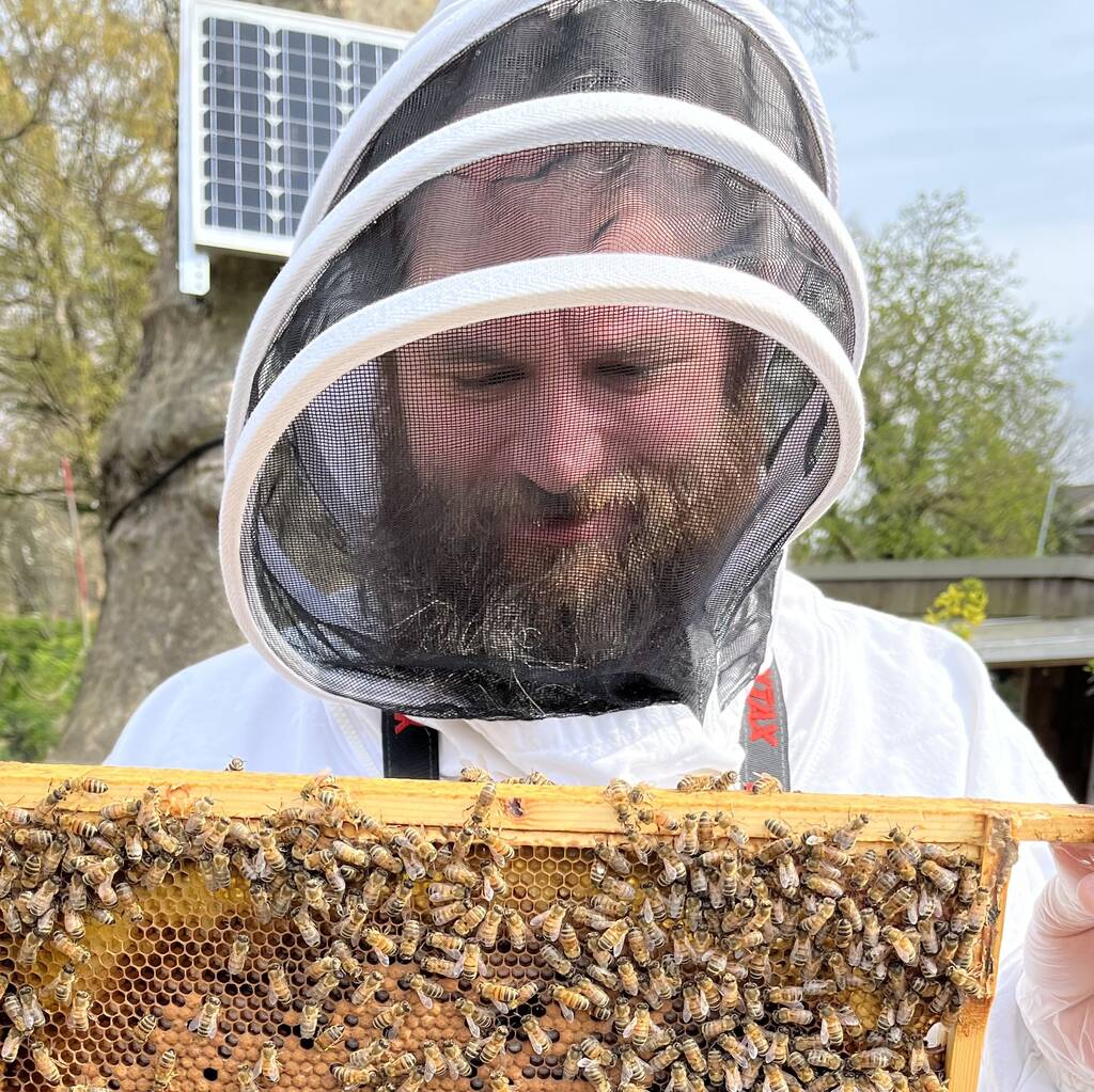 Ultimate Beekeeping, Beer And Wine Tasting Experience By Hiver Beers and Experiences