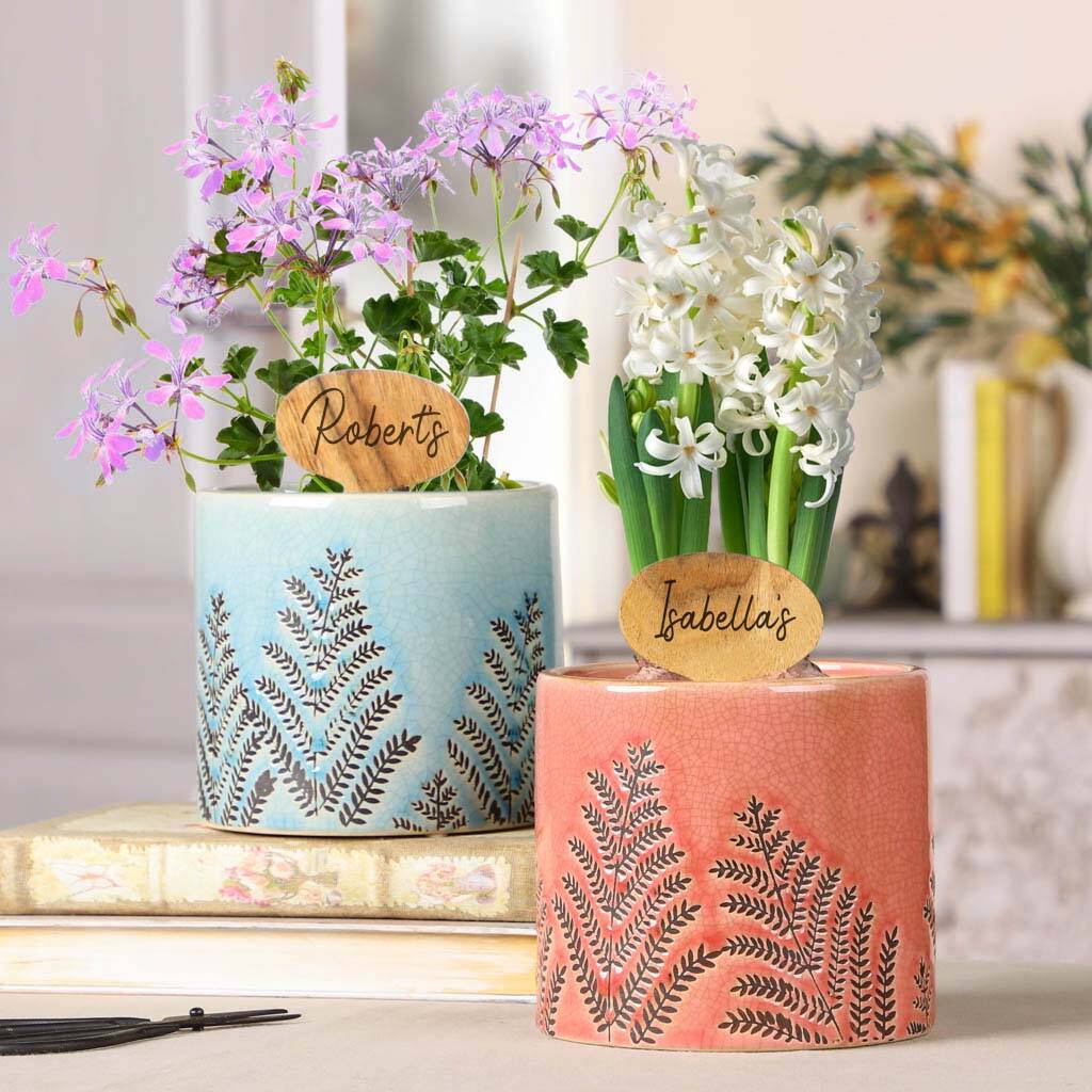 Personalised Crackle Fern Ceramic Garden Plant Pot By Dibor ...