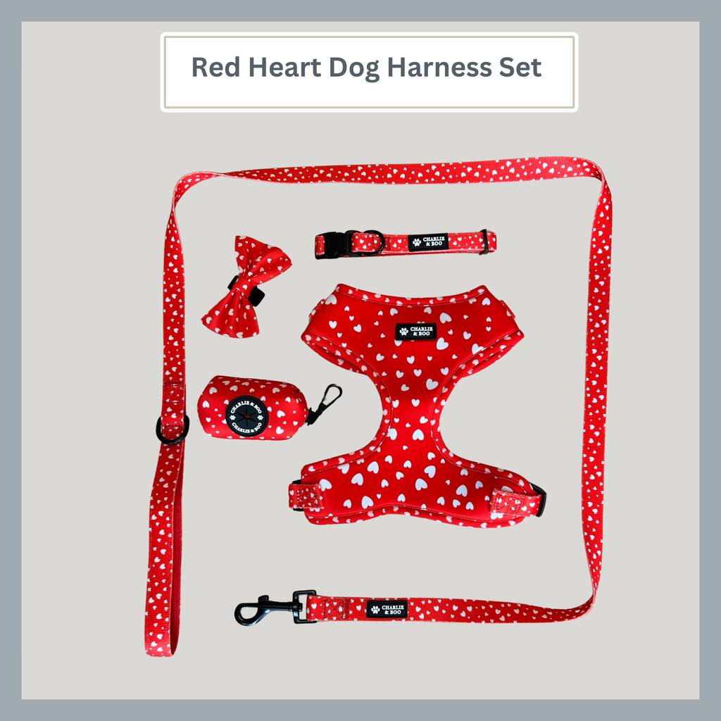 Red Heart Dog Harness Set By Charlie and Boo
