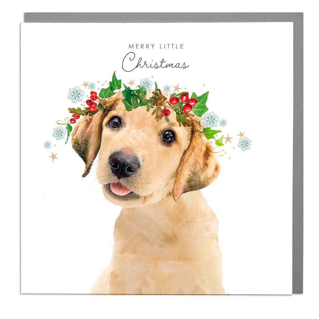 Happy Christmas Labrador Card By Lola Design Ltd
