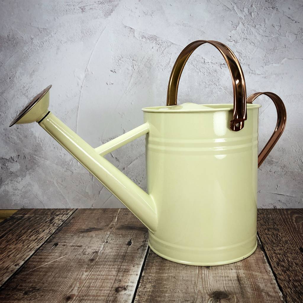 Heritage Cream And Copper Watering Can By Garden Selections ...