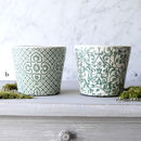 Green Patterned Plant Pot With Bulbs By Clem & Co | notonthehighstreet.com