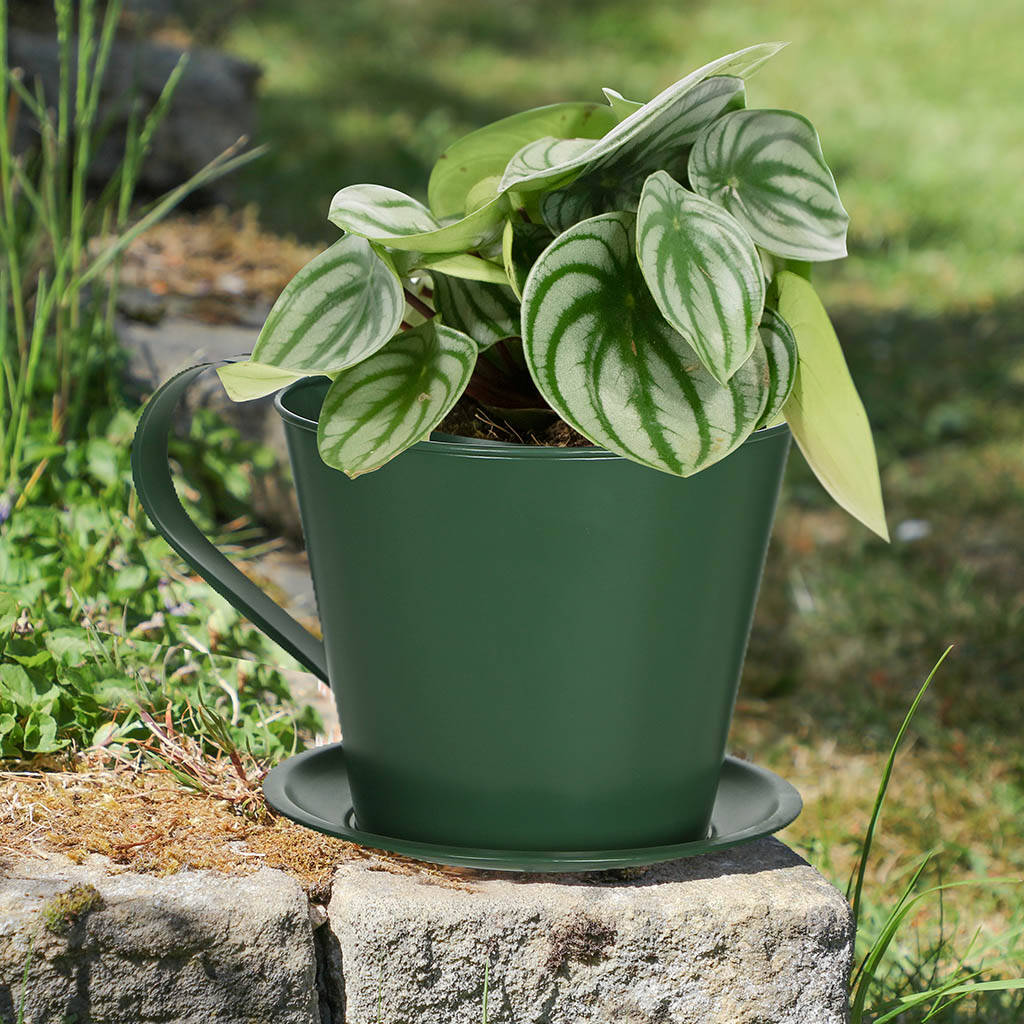 Emerald Green Garden Tea Cup Planter By Dibor | notonthehighstreet.com