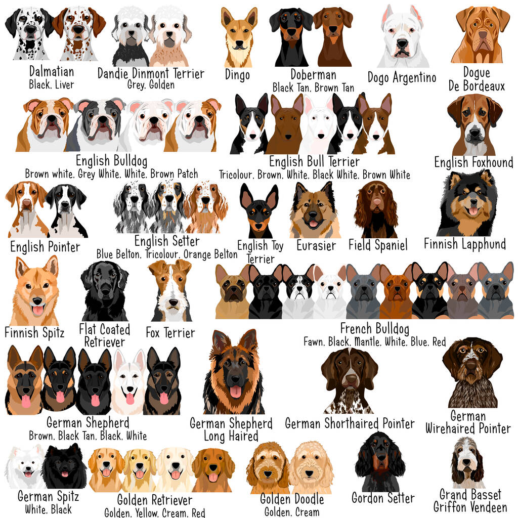 Bold Dog Breed Premium Illustrated Name Tag By Hoobynoo ...