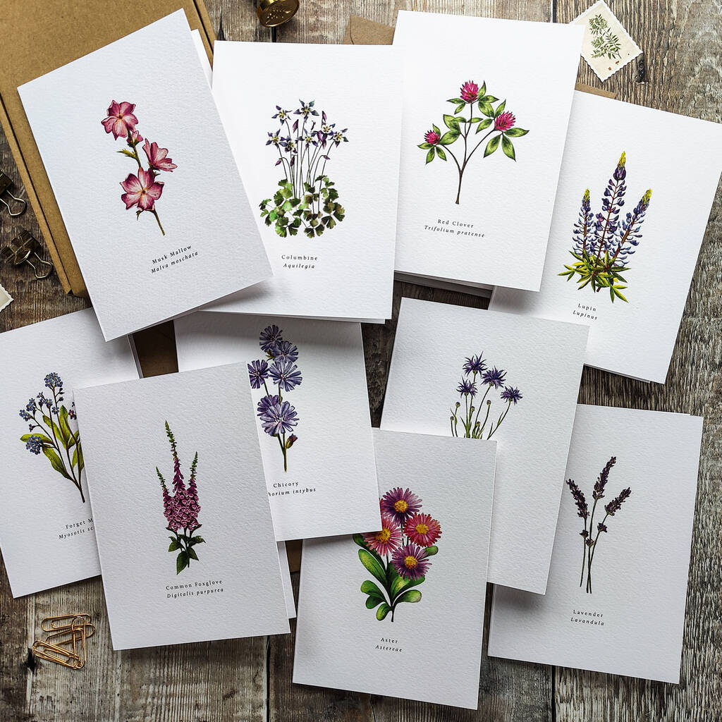 Set Of 10 Different Pink And Blue Wildflower Notecards By Paper Willow ...