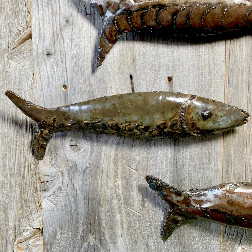 Garden Fish Wall Art By London Garden Trading | notonthehighstreet.com