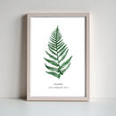 Personalised Fern Leaf Monoprint Fine Art Print By Print Nineteen ...