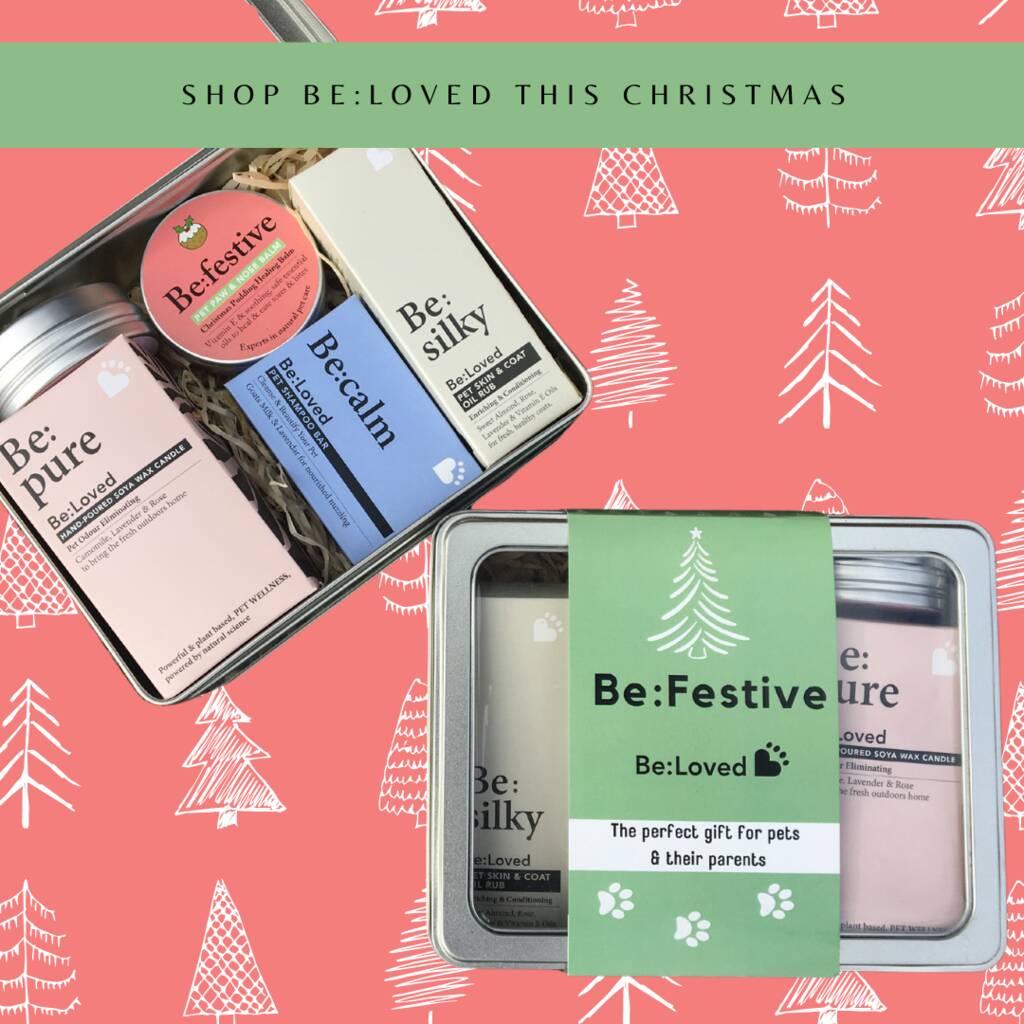 Be:Festive Bundle By Be:Loved Natural Petcare