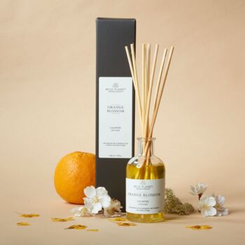 Orange Blossom Diffuser With Essential Oils By Wild Planet Aromatherapy ...