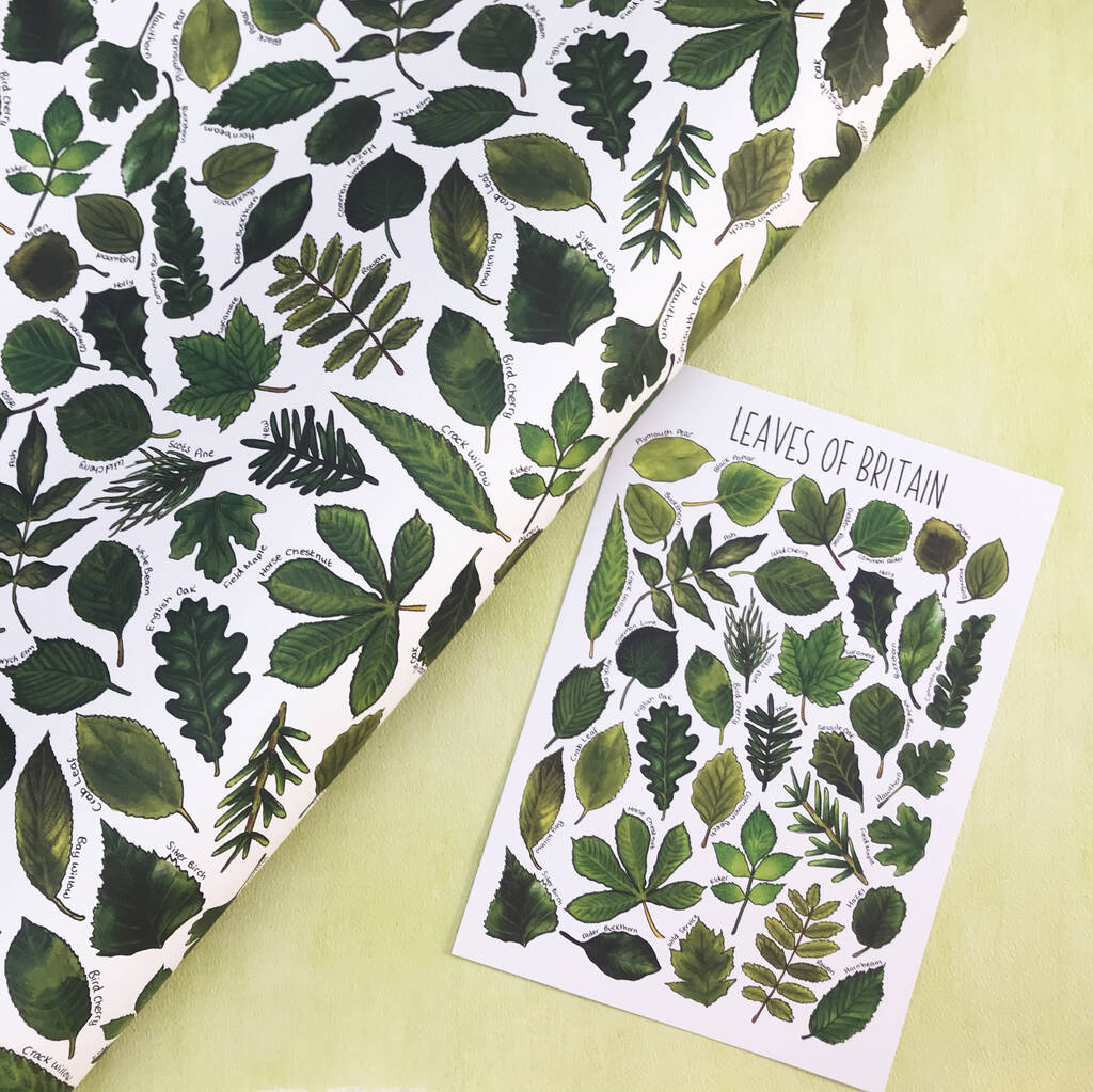 Botanical Leaves Wrapping Paper Set By Alexia Claire ...