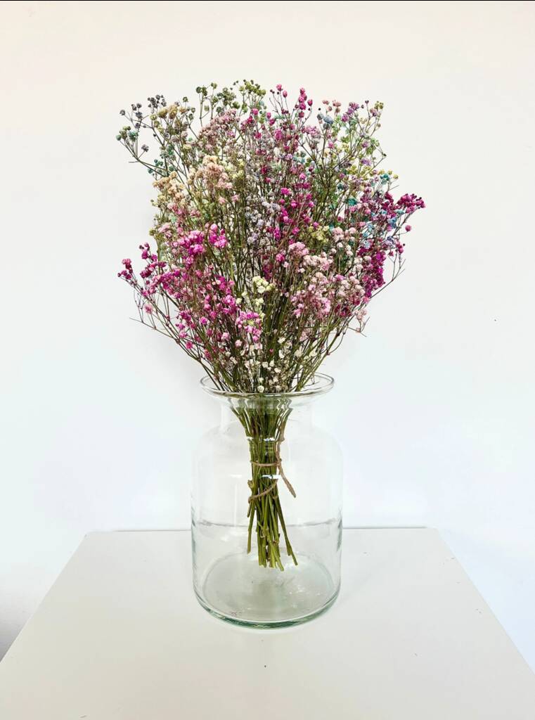 Dried Rainbow Gyp By Neon Knotz | notonthehighstreet.com