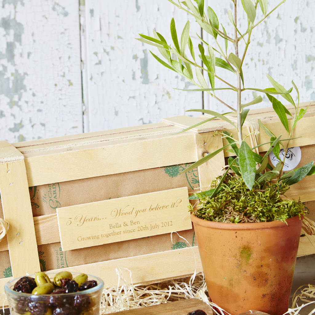 5th wedding anniversary personalised olive tree gift by the gluttonous ...