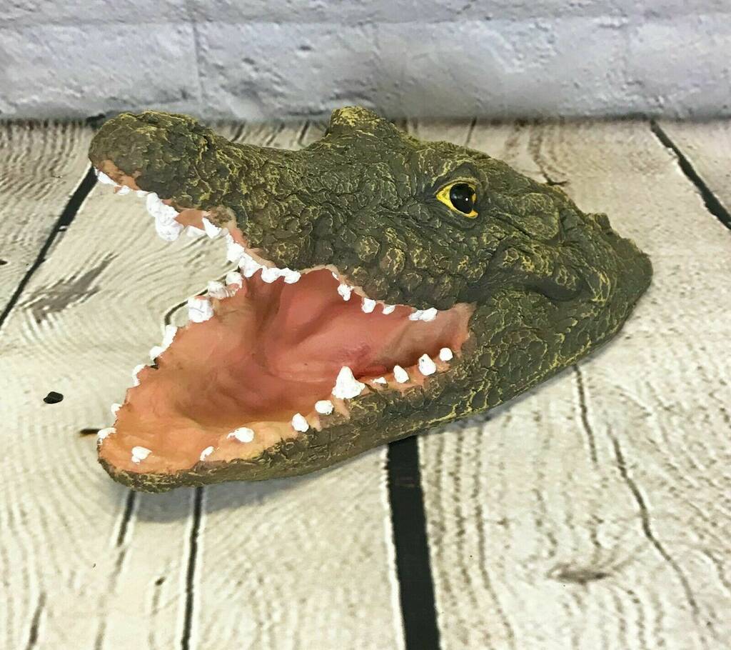 Mr Snappy Crocodile Head By Garden Selections | notonthehighstreet.com