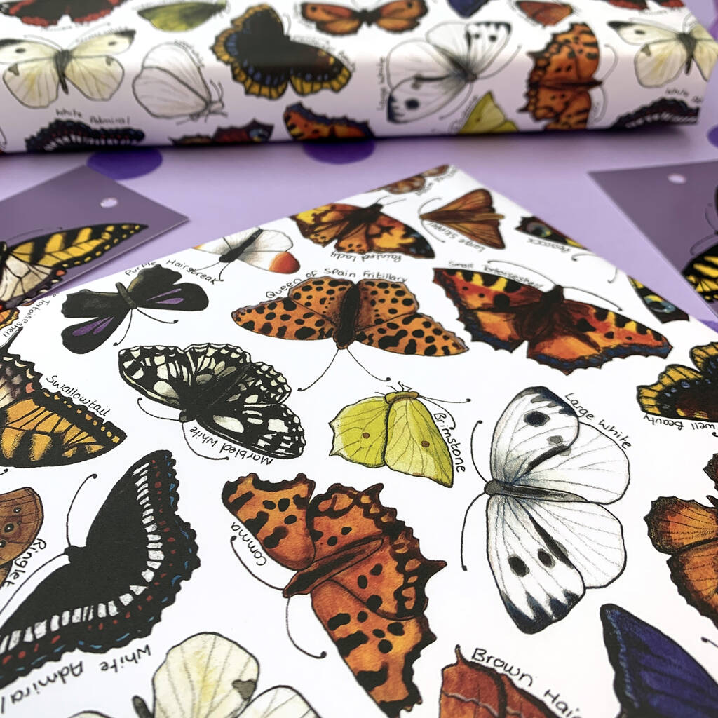 Butterflies Of Britain Wrapping Paper Set By Alexia Claire ...