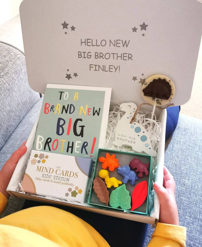 New Big Brother Gift Box Dinosaur By Beatrice & Barley ...
