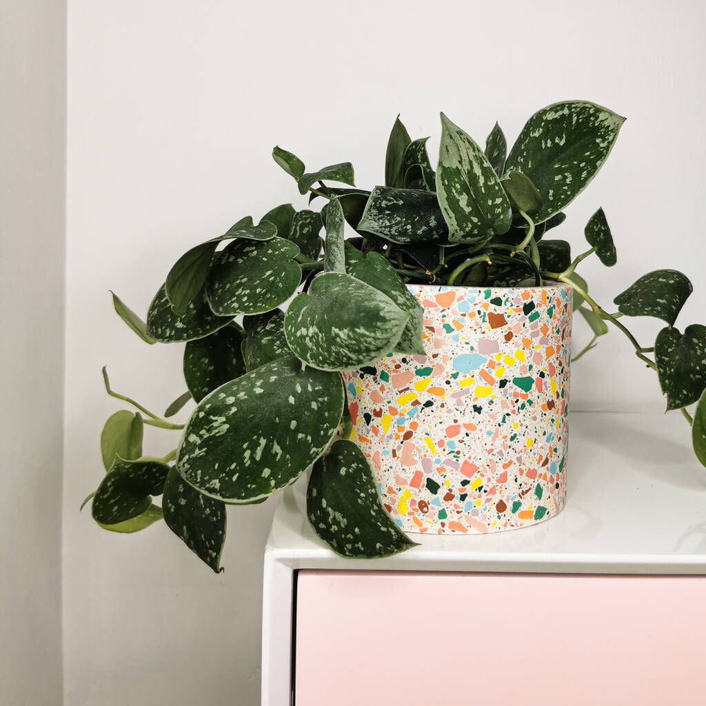Handmade Terrazzo Plant Pot, Eight Colour Options By Slow Make Studio ...