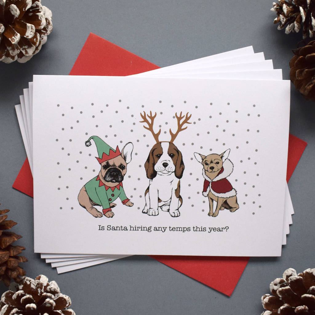 Dog Collection Christmas Card Pack By Highland Jungle