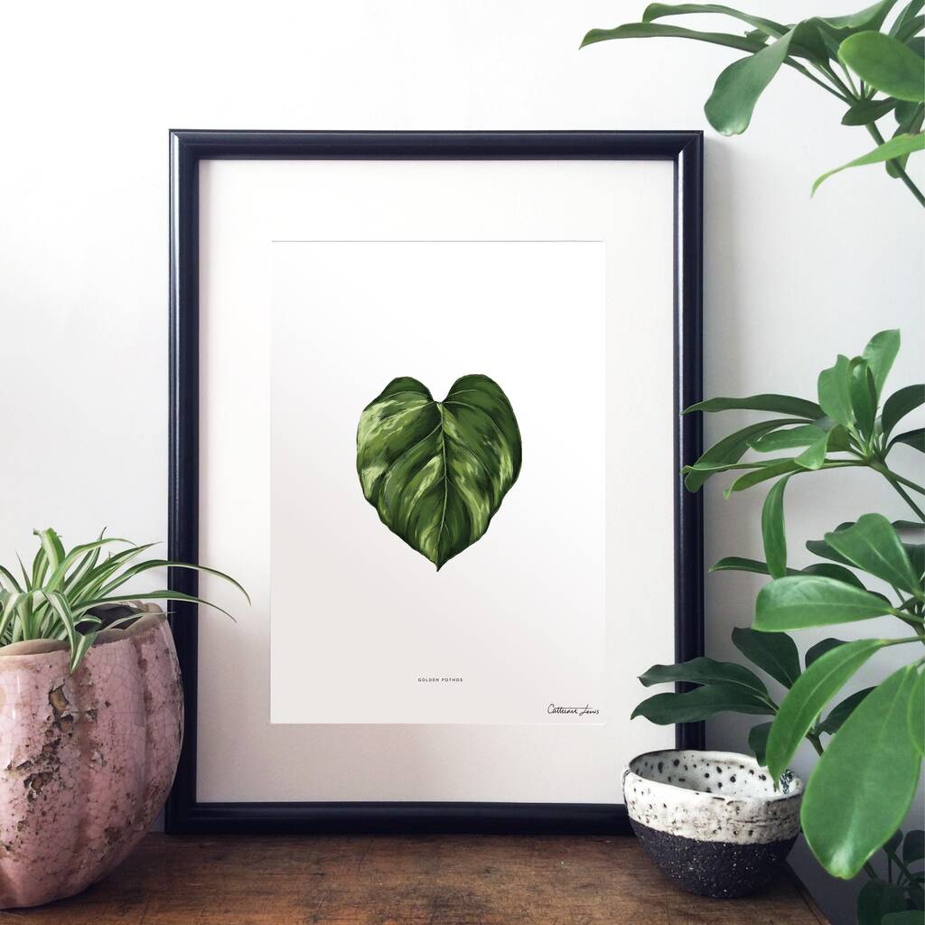 Golden Pothos Heart, Botanical Art Print By Catherine Lewis Design ...