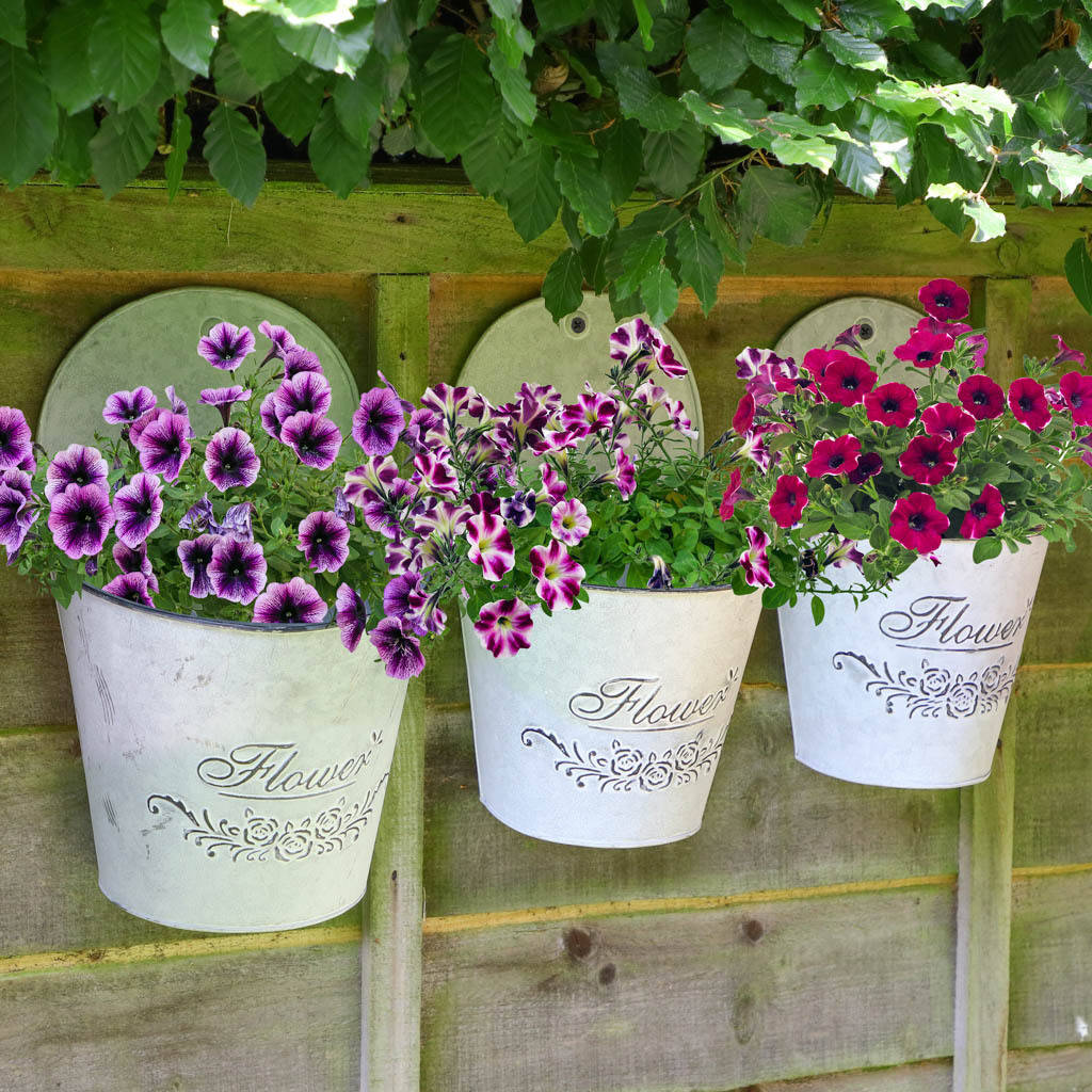 Set Of Three Vintage Garden Wall Planters By Dibor | notonthehighstreet.com