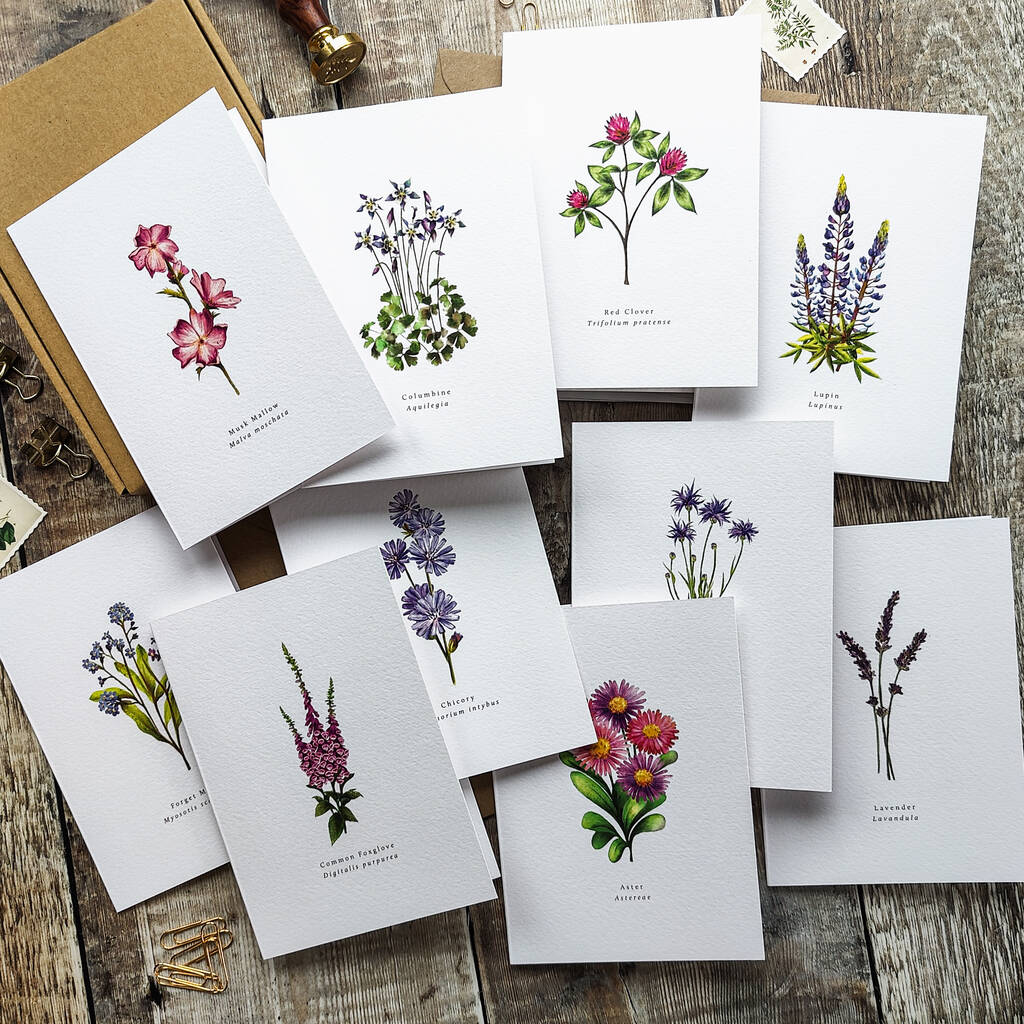 Set Of 10 Different Pink And Blue Wildflower Notecards By Paper Willow ...