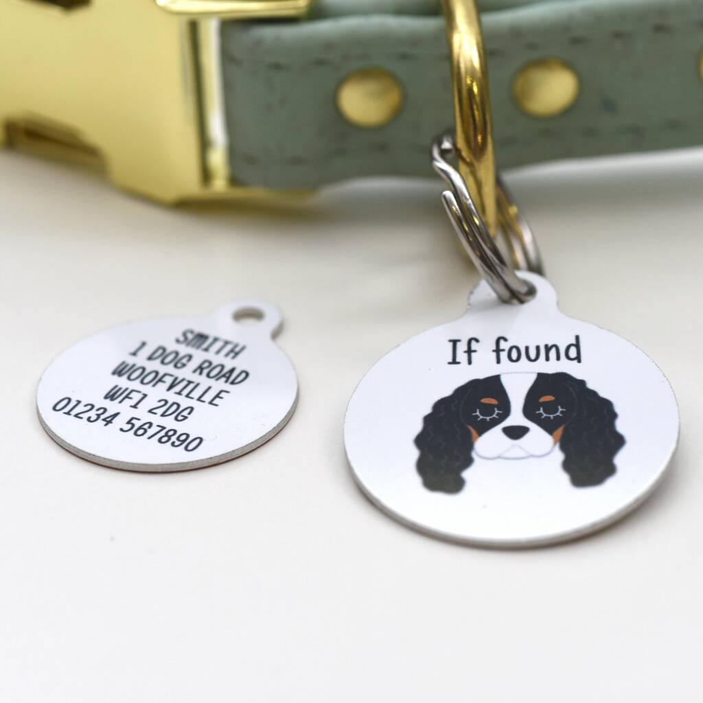 Cavalier King Charles Spaniel Dog Tag Illustrated By Hoobynoo ...