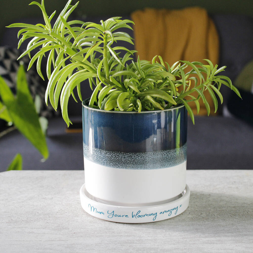 Hand Glazed Plant Pot For Mum By Olivia Morgan Ltd | notonthehighstreet.com