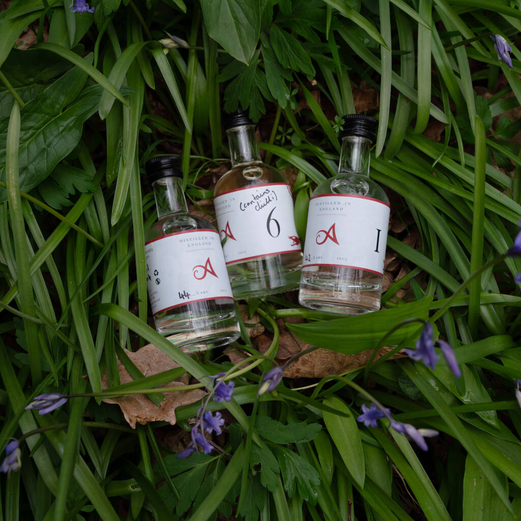 Six South West Craft Gins: A Social Blind Tasting By Azu Spirits ...