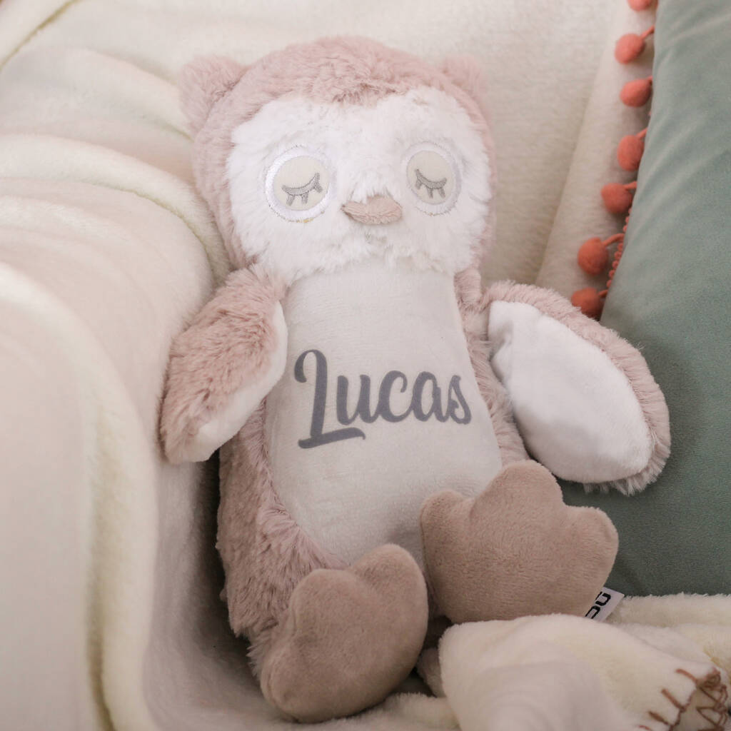 Personalised Owl Teddy Bear Toy Gift For Baby By That's Nice That ...