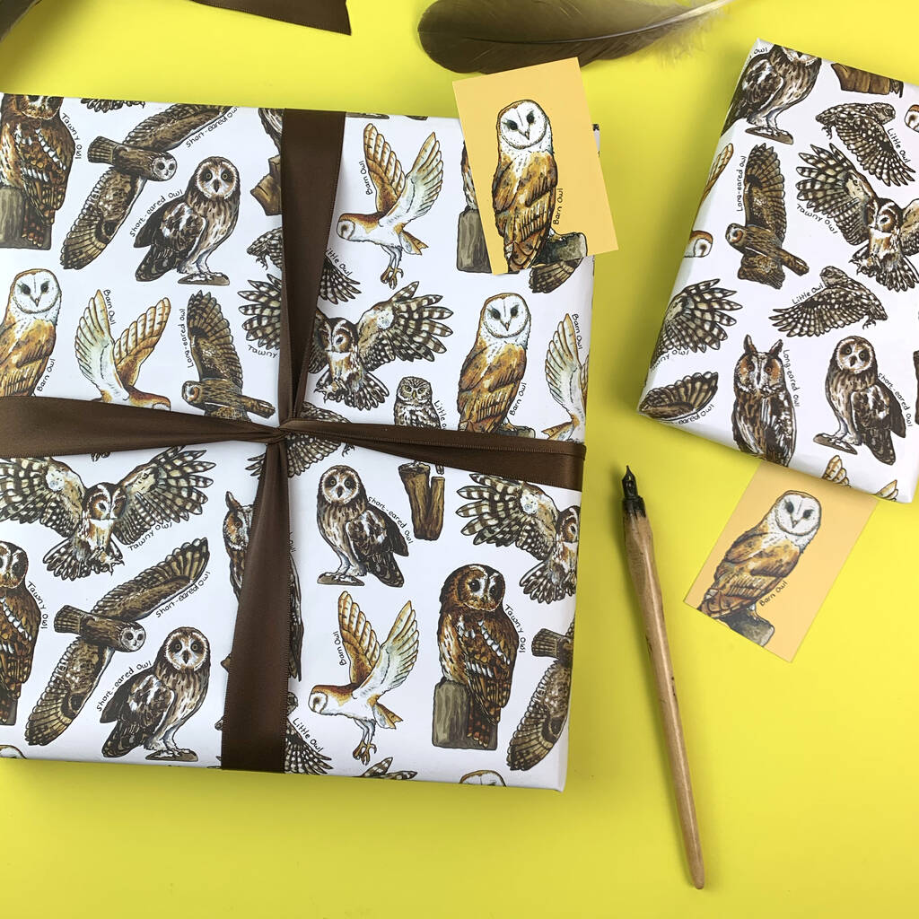 Owls Of Britain Wrapping Paper Set By Alexia Claire ...