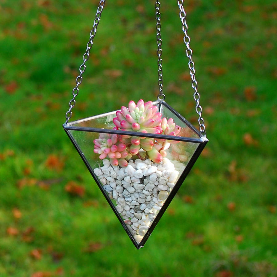 hanging triangle vase terrarium by dingading terrariums ...