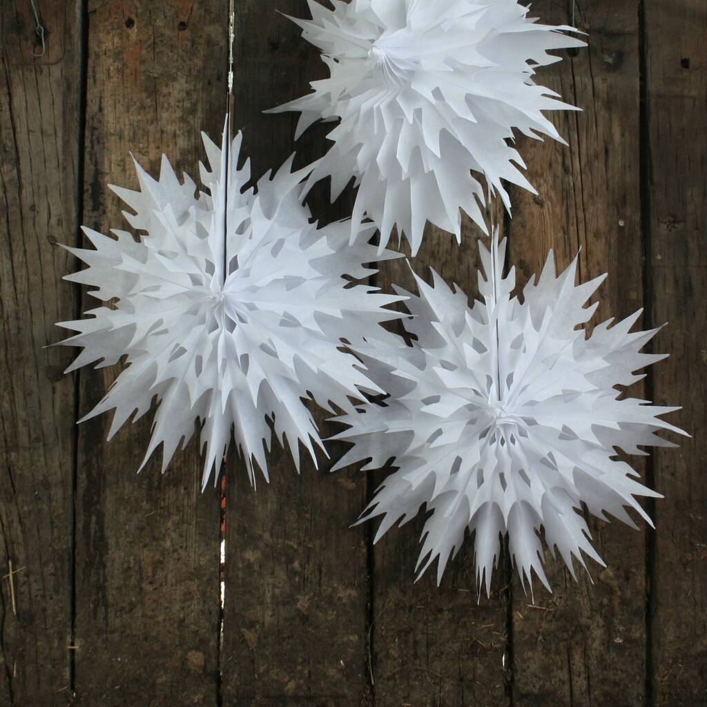 Classic White Paper Snowflakes Assorted By The Danes ...