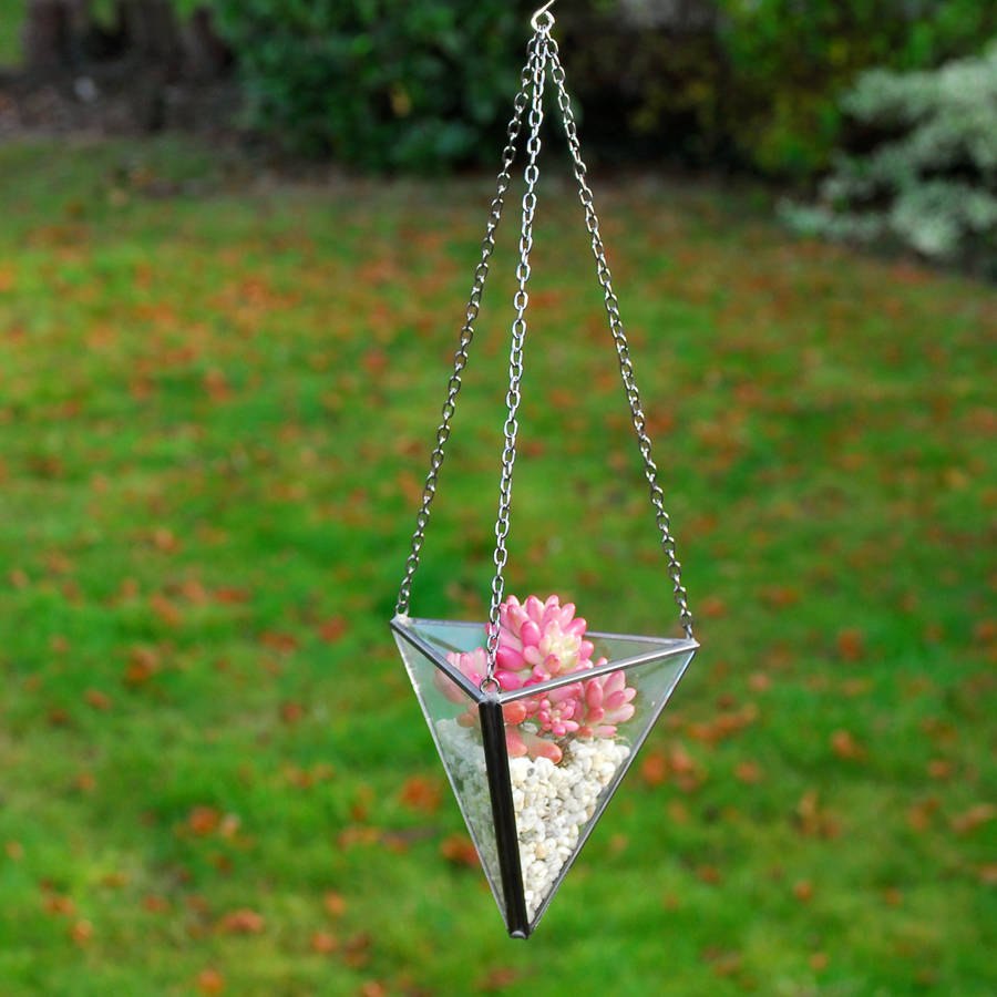 hanging triangle vase terrarium by dingading terrariums ...