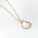 Dainty 18 K Gold Filled Shell Clam Necklace By Elk & Bloom ...