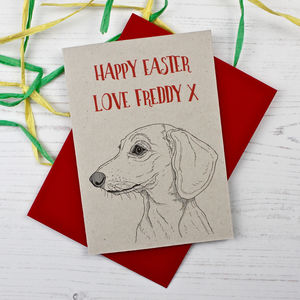 Easter Cards & Wrap | notonthehighstreet.com