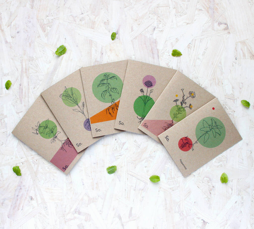 Illustrated Herb Card Set With Seeds By So. Seed Kits ...
