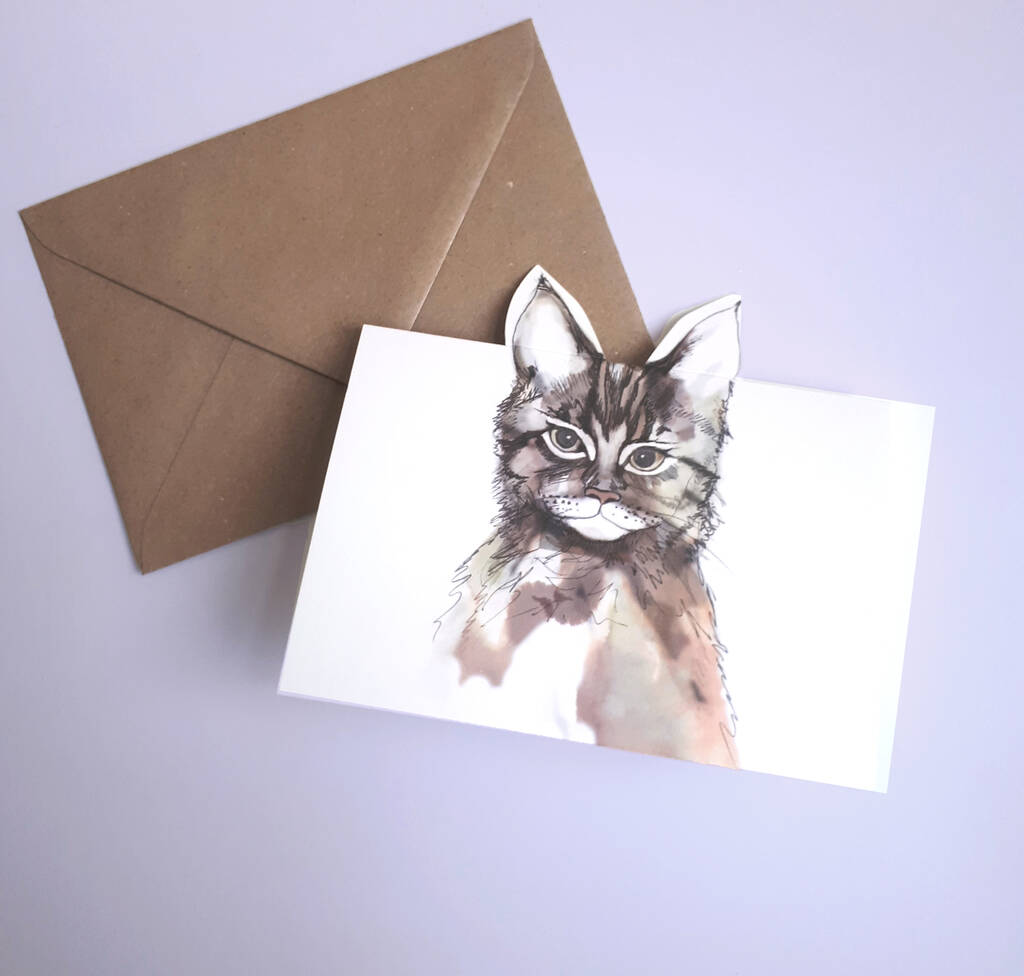 pop-up-cat-cards-by-nina-nou-notonthehighstreet