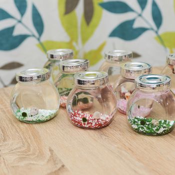 Marimo Moss Ball Terrarium By Dinga Ding Terrariums ...