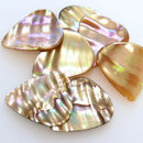 Abalone Tones Guitar Plectrums In A Gift Tin By Timber Tones ...