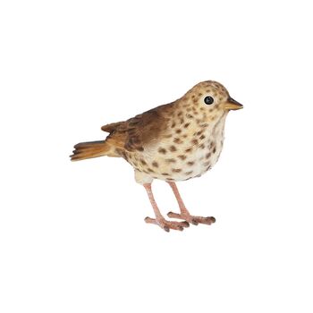 Lifelike Song Thrush Bird Ornament Indoor Outdoor Gift By Surrey Hills ...
