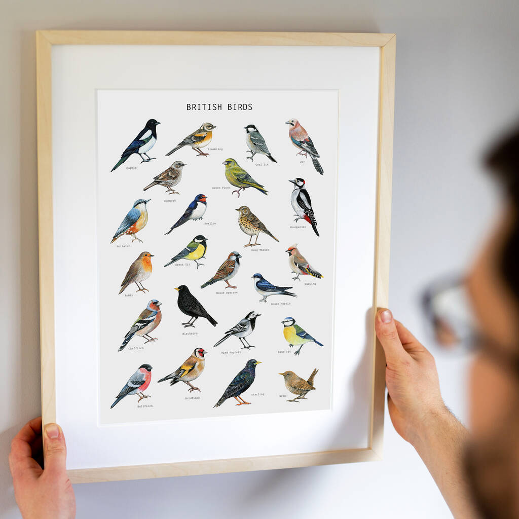 British Birds Illustrated Print By Charlotte Jones Design ...