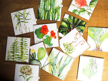 Hosta Greetings Card By Kali Stileman Publishing | notonthehighstreet.com