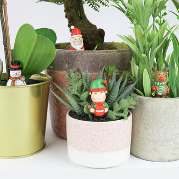Mini Festive Gnomes Plant Pot Markers By Gift Republic