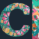 Letter C Original Artwork By Jessica Graham | notonthehighstreet.com