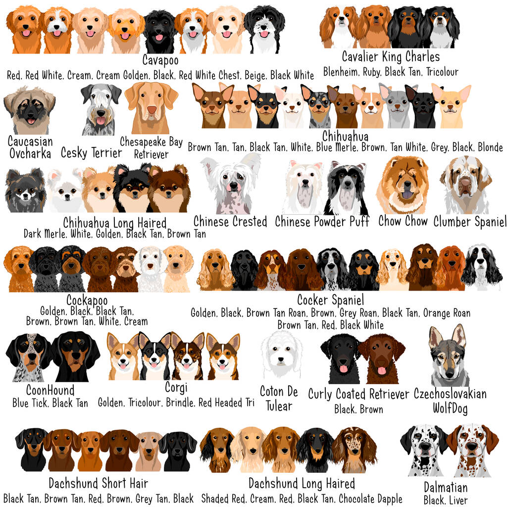 Dog Tag Personalised Dog Name ID Daze Harlequin By Hoobynoo ...